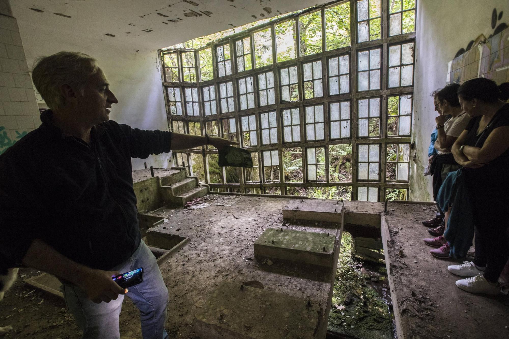 En imágenes: La Zoreda, un bosque "animado" para viajar en el tiempo