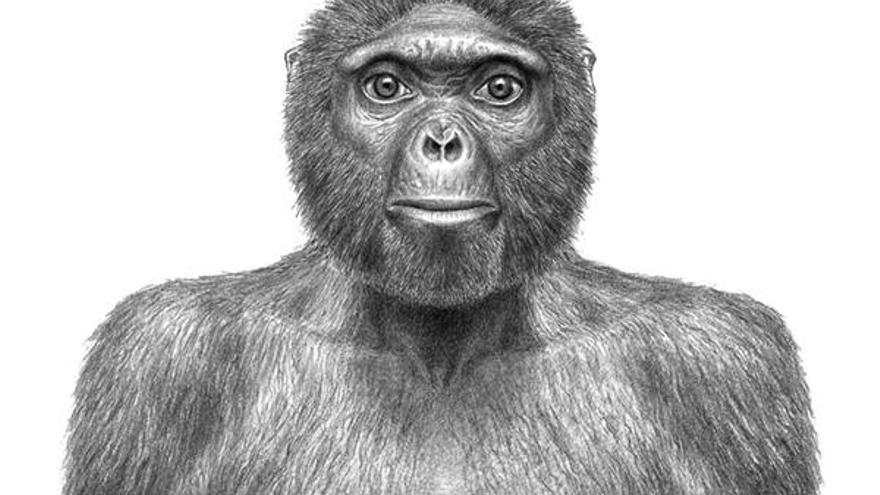 ´Ardi´ es el antepasado humano más antiguo