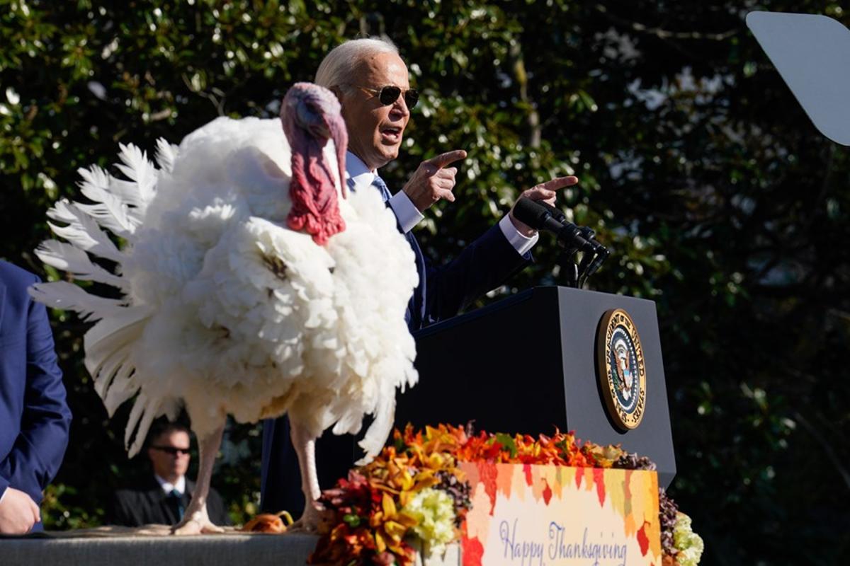 ¿Por qué el pavo es símbolo del Día de Acción de Gracias? Esta es la ...