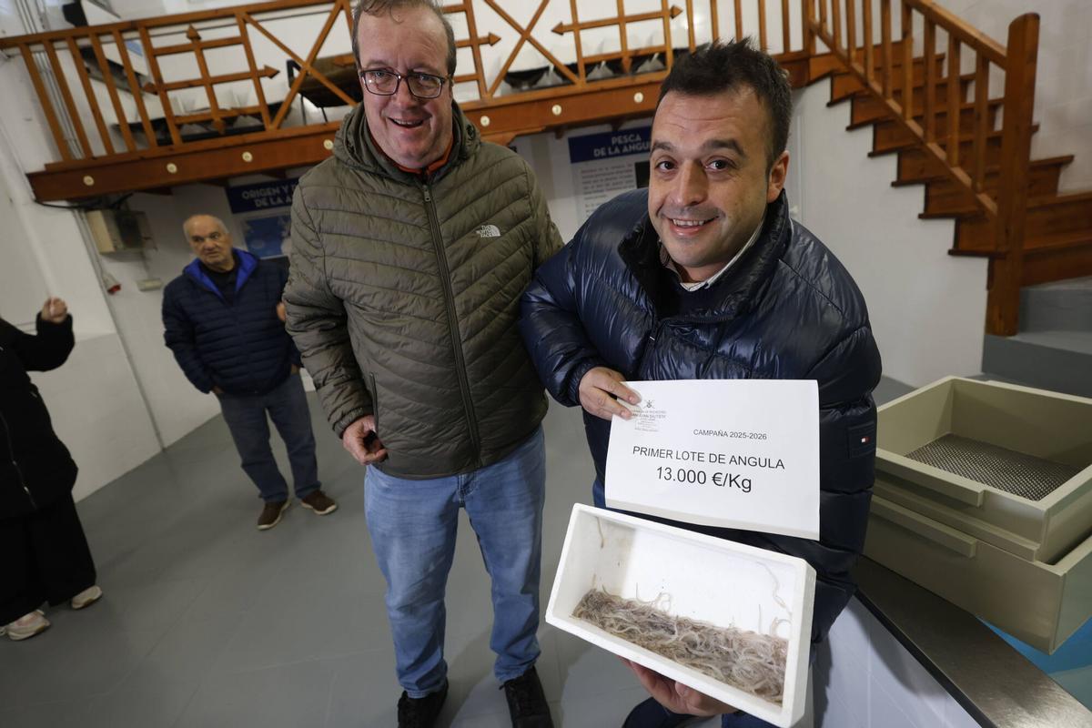La primera subasta de la angula en La Arena, de récord: 13.000 euros el ...