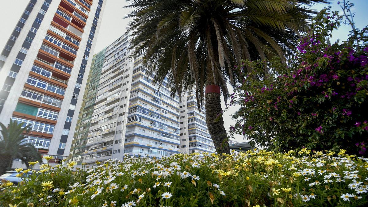 Las Palmas de Gran Canaria, medio siglo rascando el cielo con sus edificios - La Provincia