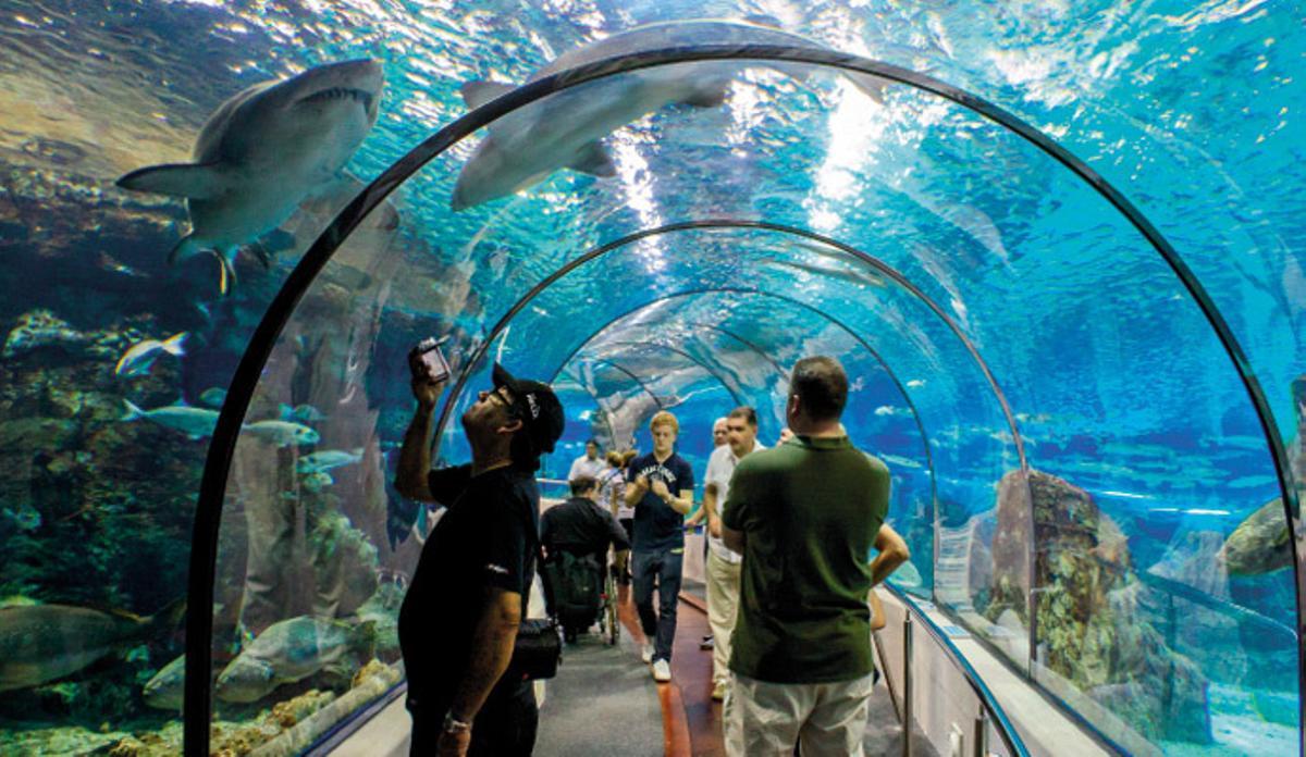 Los acuarios más espectaculares que puedes visitar en España