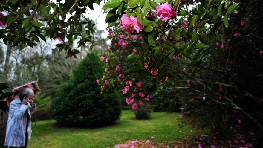 O Salnés inicia la campaña turística «de invierno» con las visitas de ...