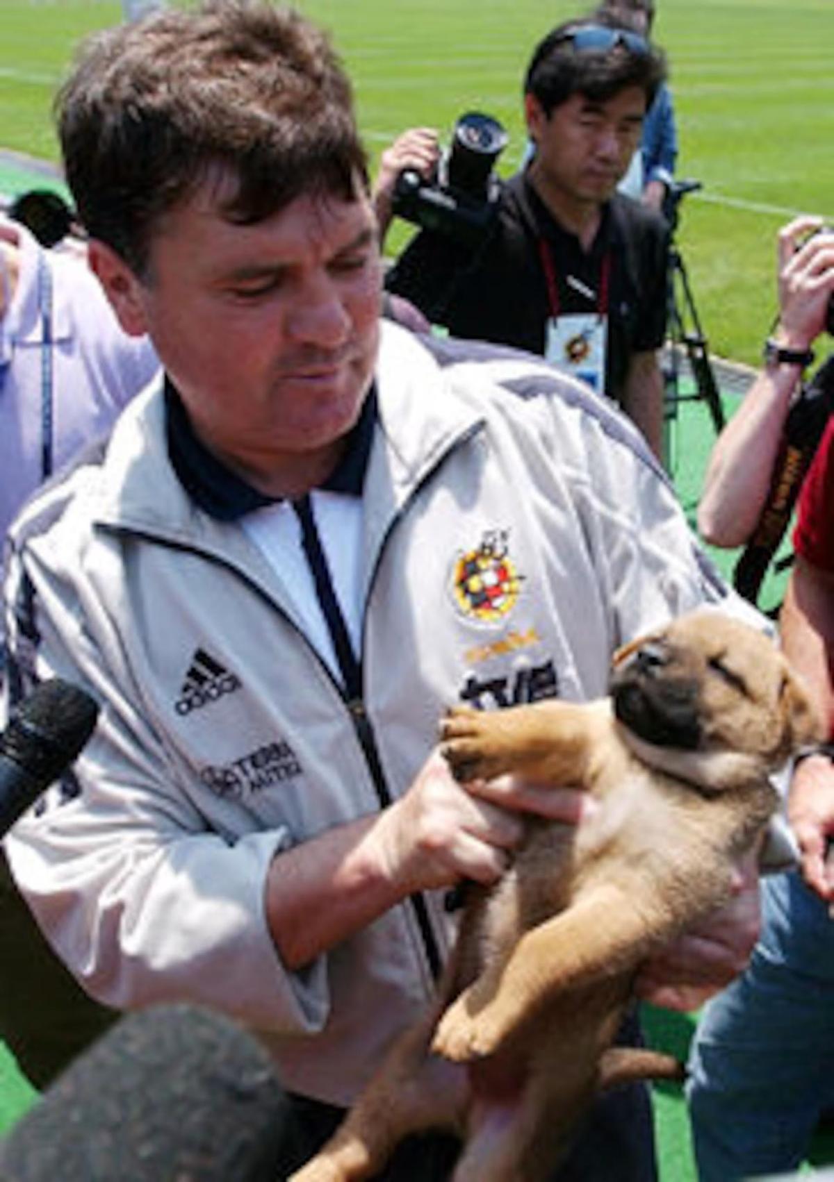 'Camachín', el perro que adoptó la España de Camacho para evitar que ...