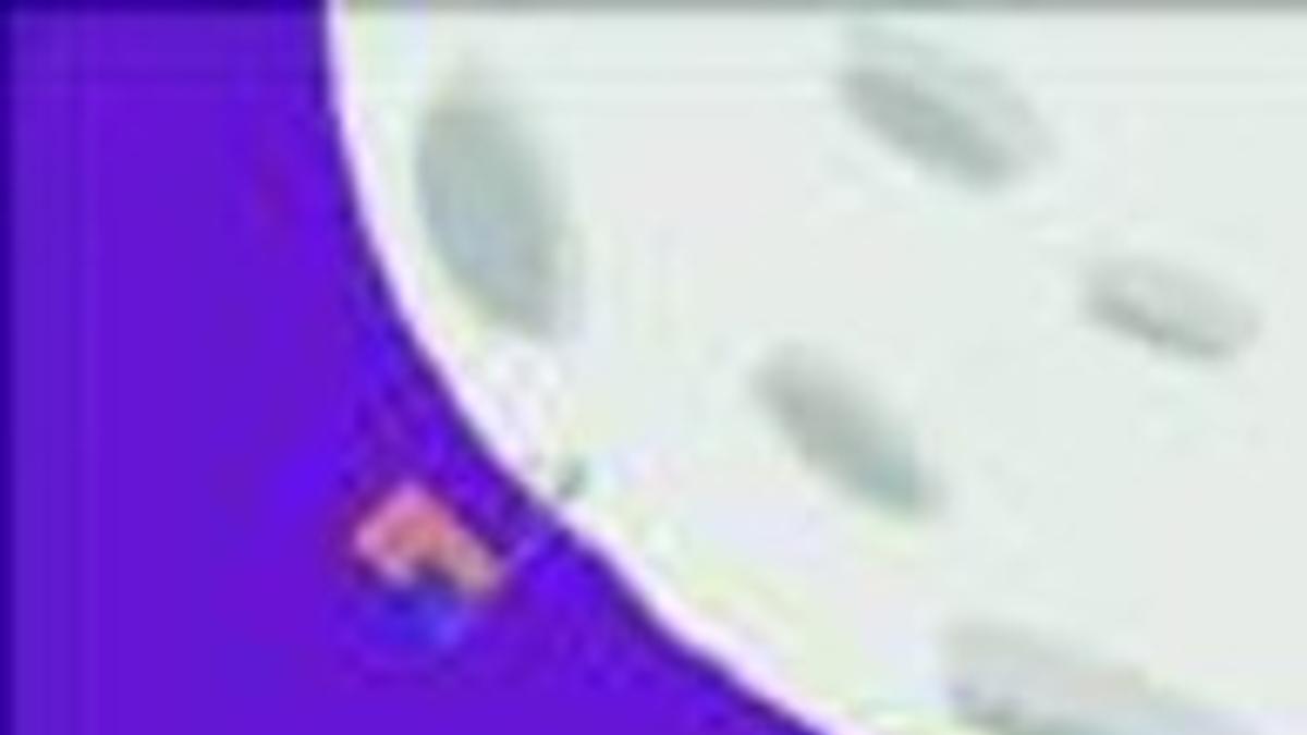 Queremos la luna - El Periódico