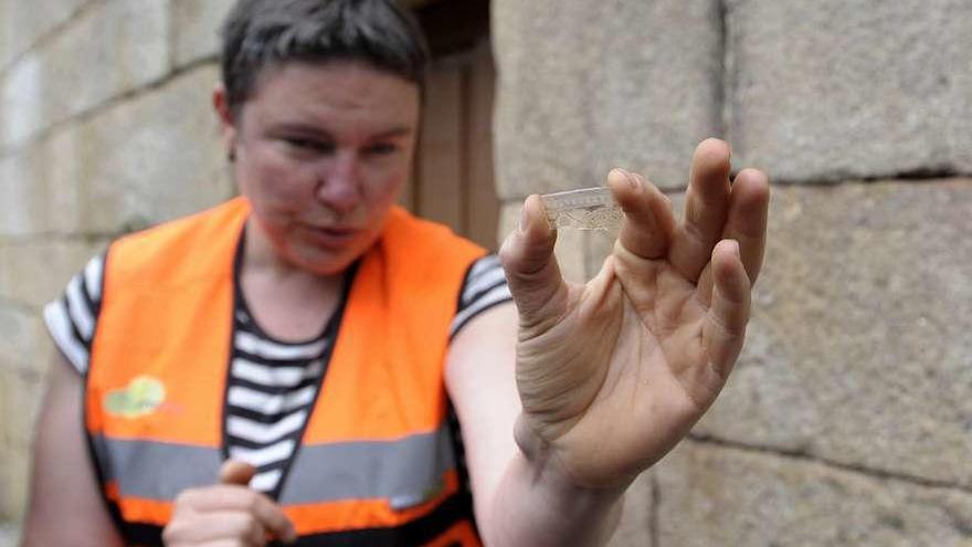 Elena Taboada Durán: "El descubrimiento de la necrópolis da más ...