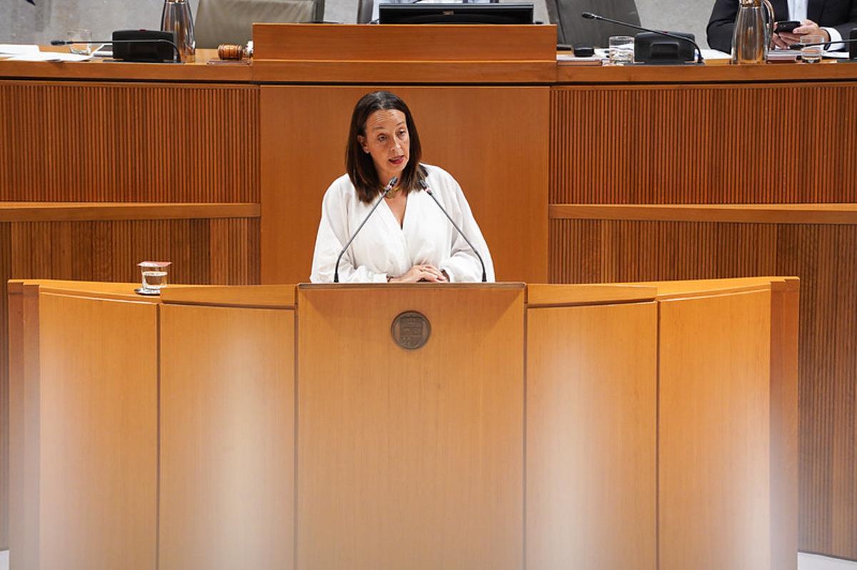 Susín censura en las Cortes el discurso de Nolasco sobre inmigración