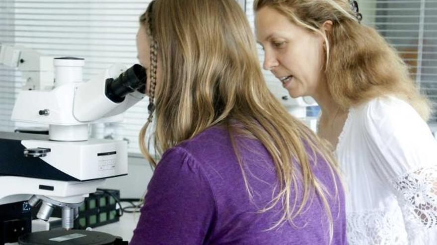 El secreto de las algas