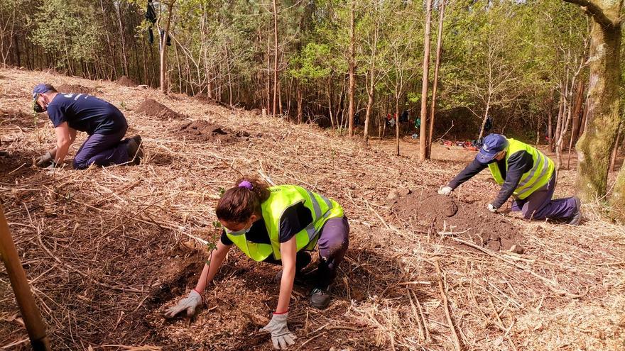 A construción e máis os servizos concentran os preto de dous mil ...