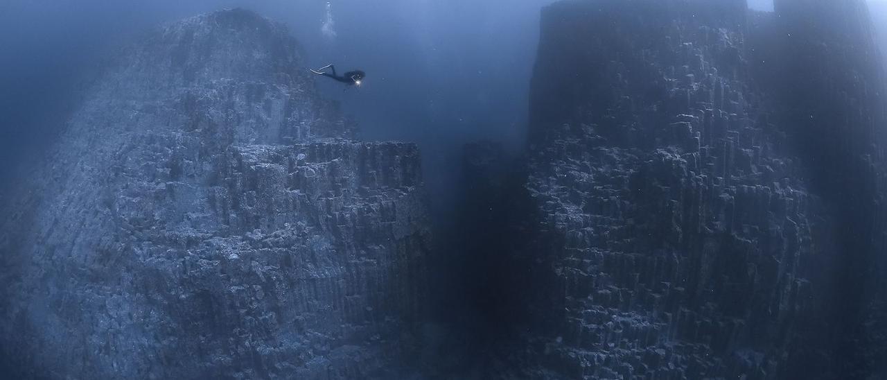 Un tesoro bajo el mar de Tenerife - El Día