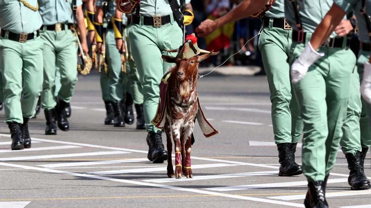 ¿Ha desfilado la cabra de la Legión en el desfile del 12 de octubre ...