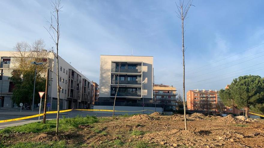Rubí planta més d’un centenar d’arbres per commemorar el Dia de l’Arbre ...