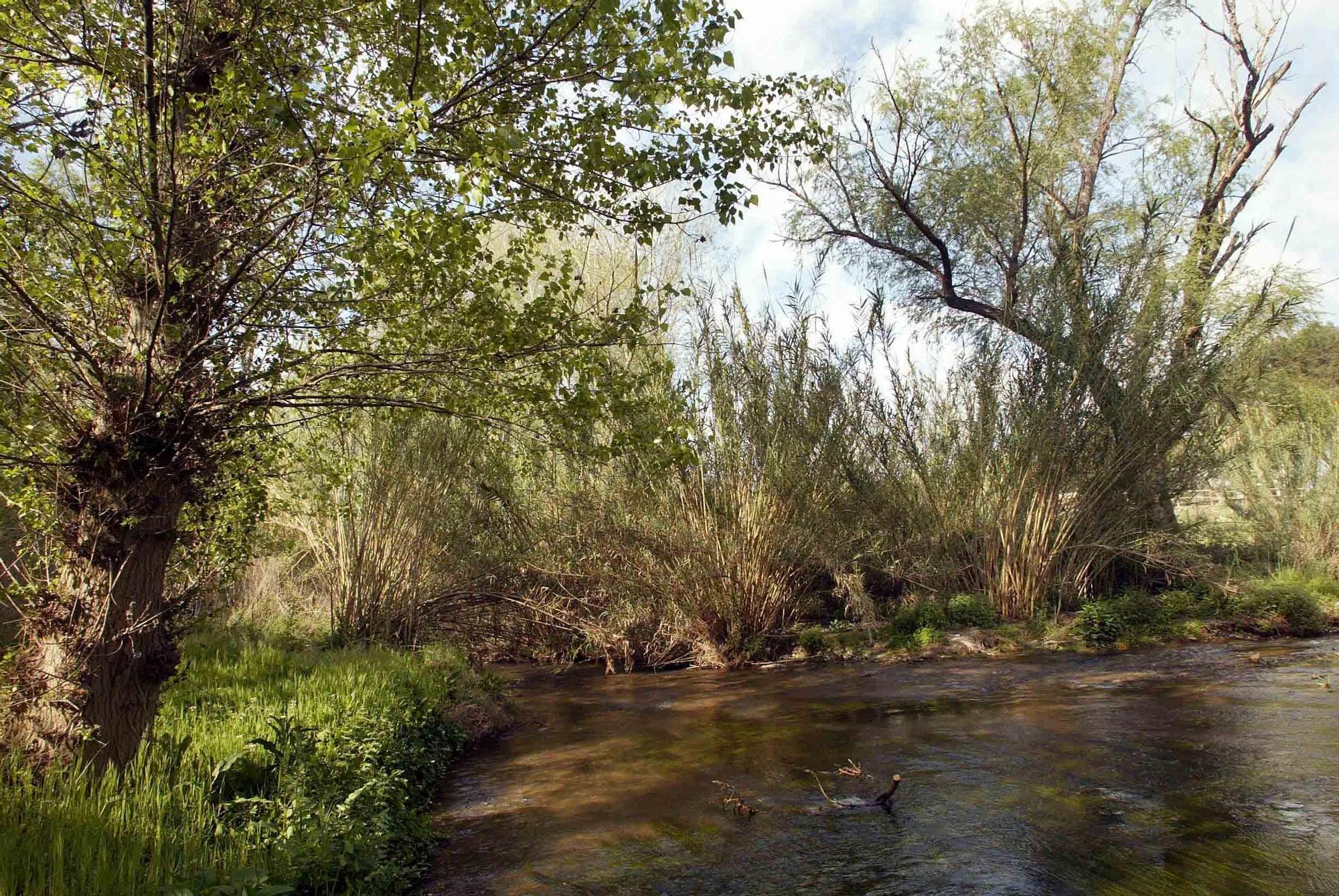 Un paseo por el Parc Natural del Túria