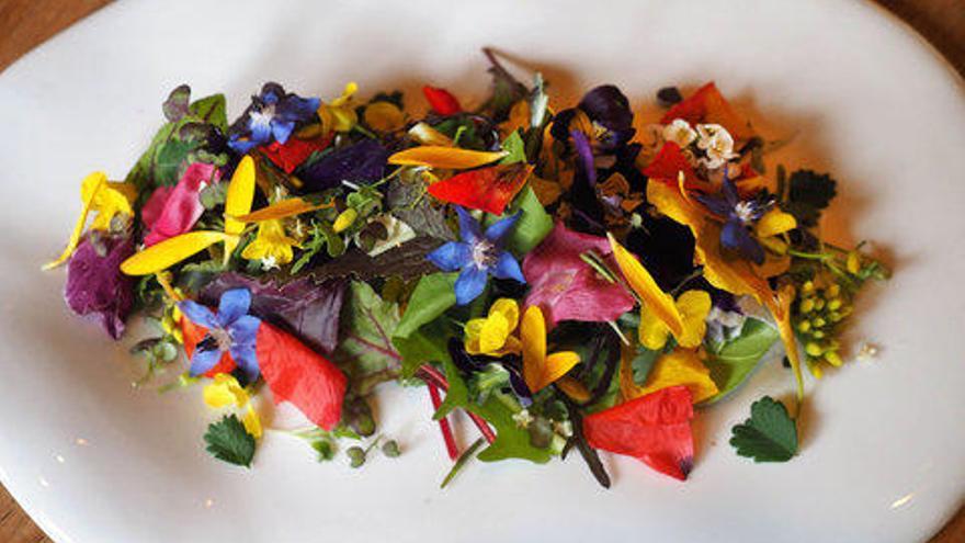 Sabores, texturas y colores: Así es comer flores