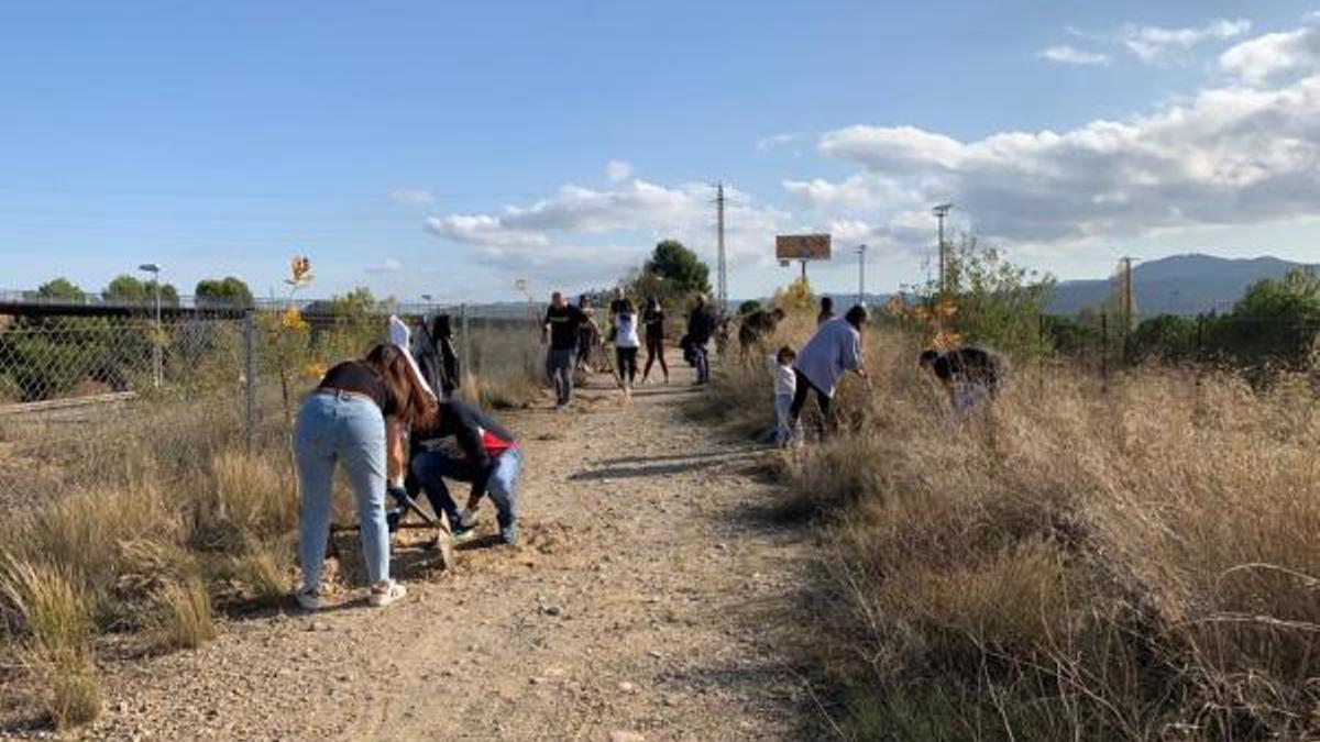 Mollet impulsa una iniciativa que incrementará los árboles de la ciudad ...