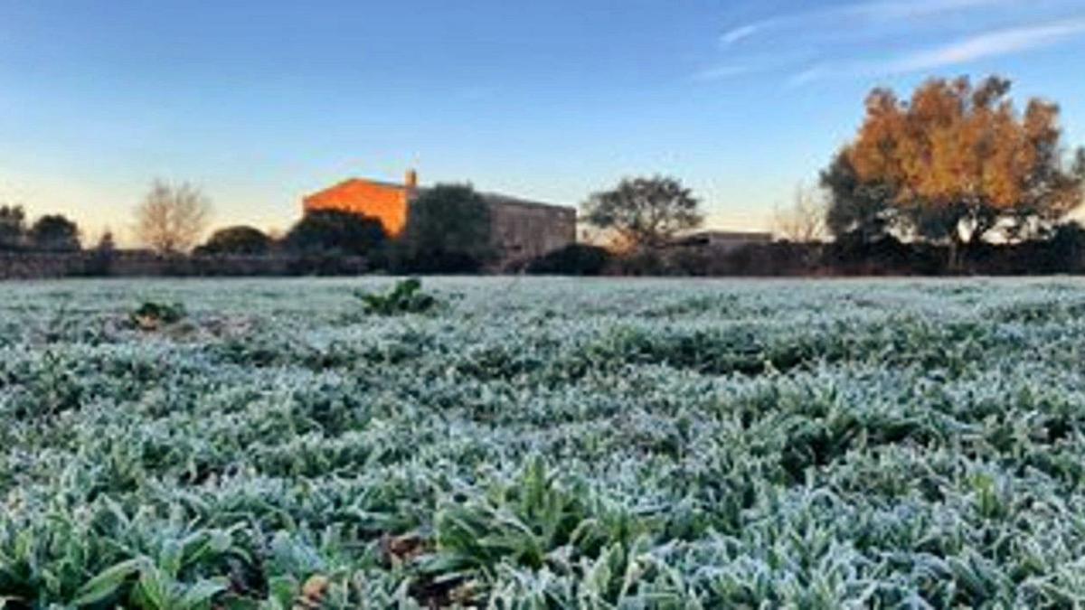 Mallorca registra las primeras heladas del invierno