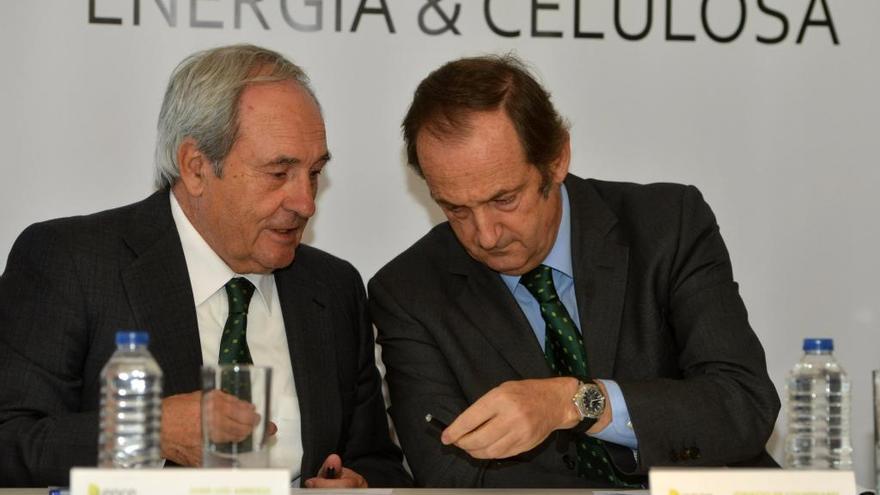 Ignacio Colmenares sucede a Arregui como presidente de Ence tras 13 ...