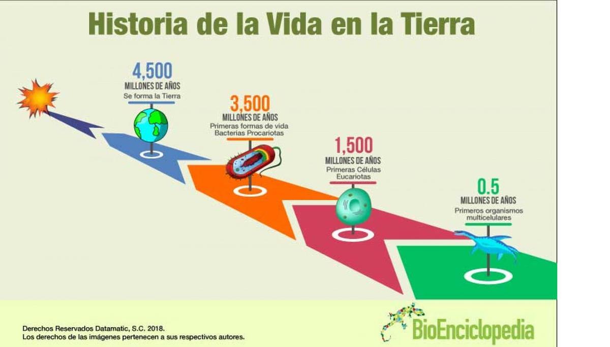 Dos supermontañas de la antigua Tierra impulsaron la evolución de la ...
