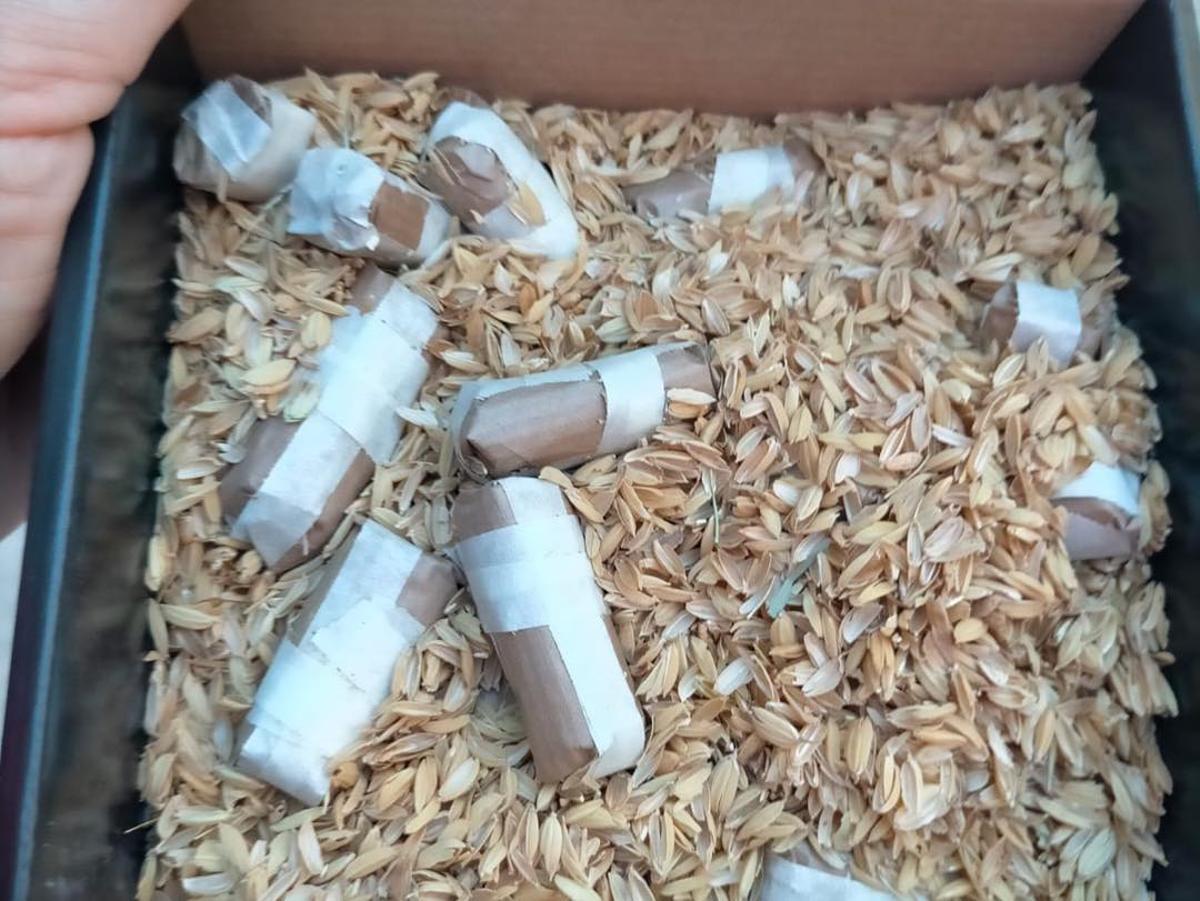 Benifaió recupera la tradición del «tro de bac» en las fiestas falleras