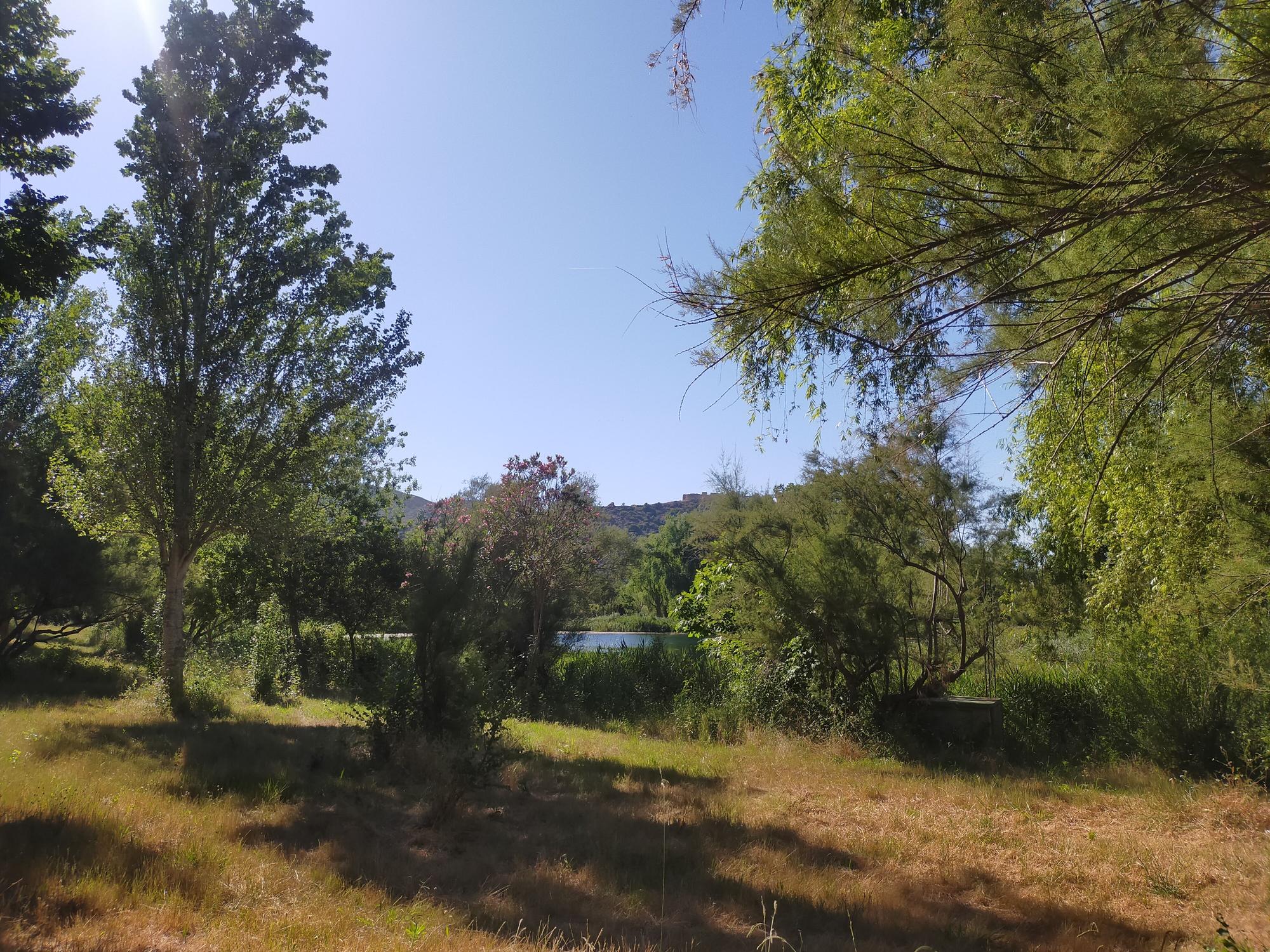 Más allá de la playa: la marjal de Gandia