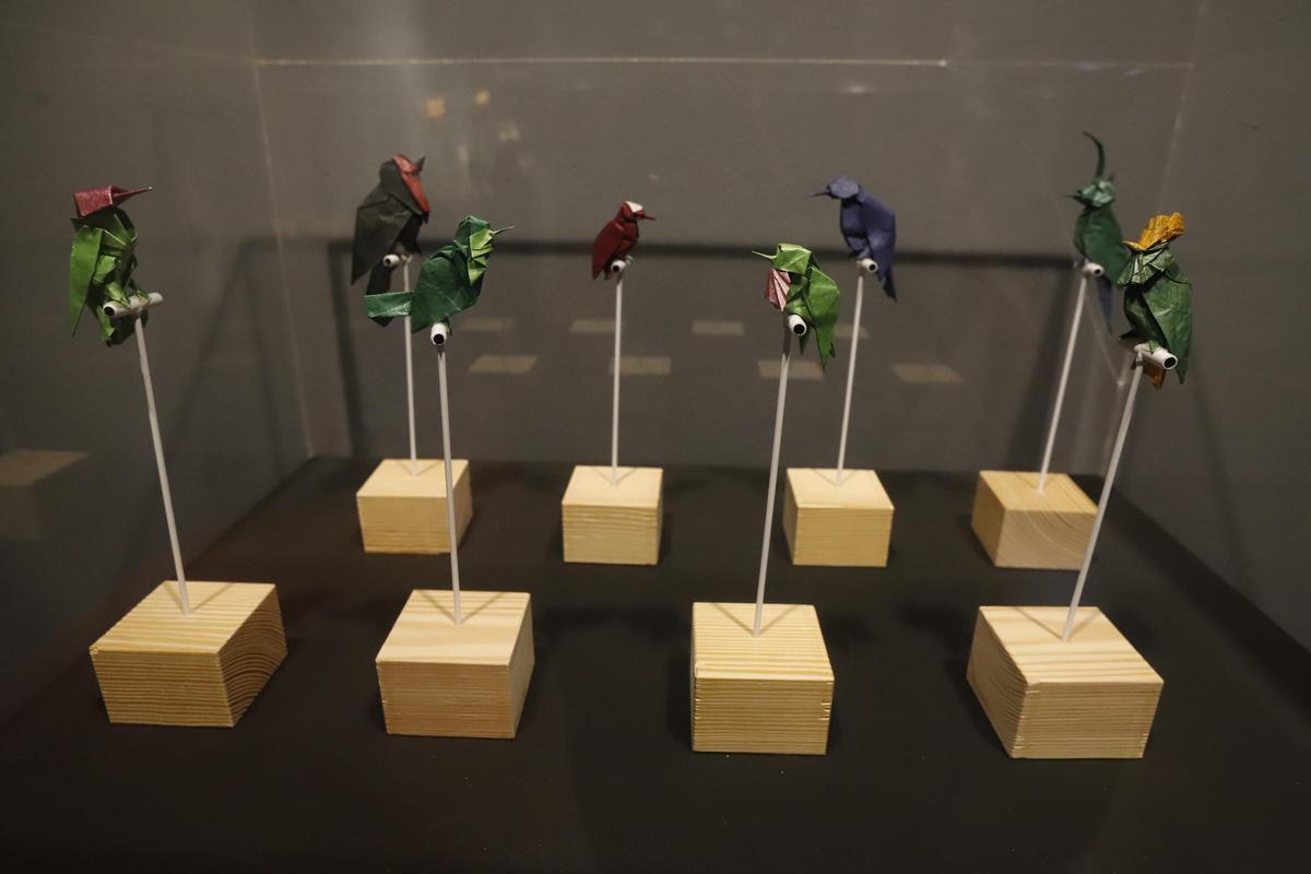 El mexicano Cekouat León expone sus 'Orquídeas y colibríes' en el Museo ...