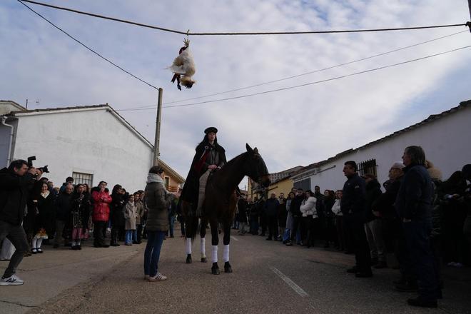 FIESTAS | Los quintos de El Pego "no pierden la tradición" de correr el ...