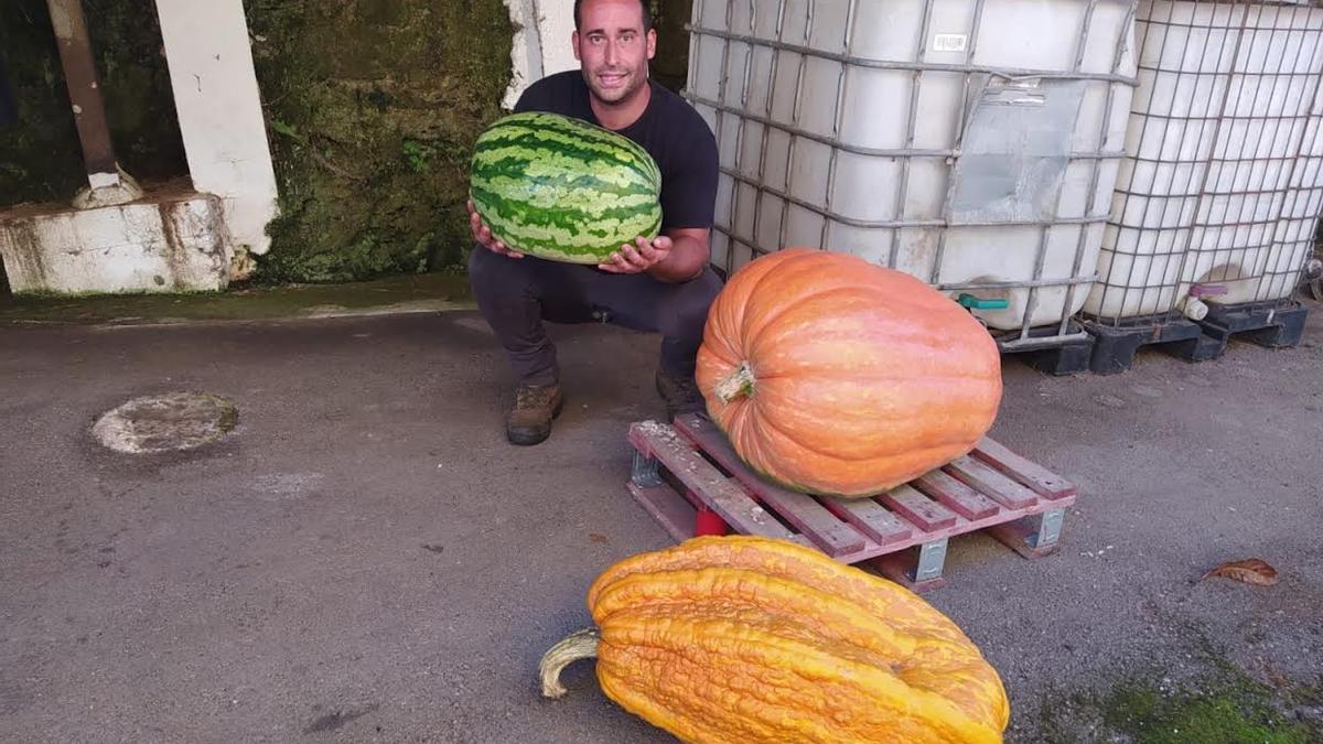 Calabazas de 63 kilos, calabacines de casi 30 y sandías que rondan los ...