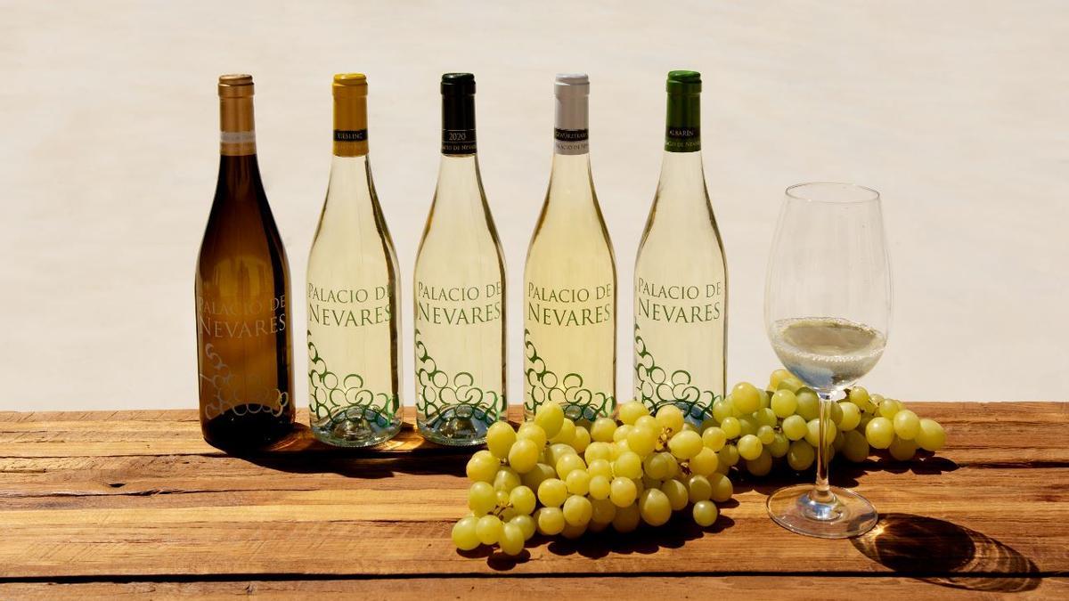 Palacio de Nevares, los viñedos que crecen a la sombra de la Sierra del ...