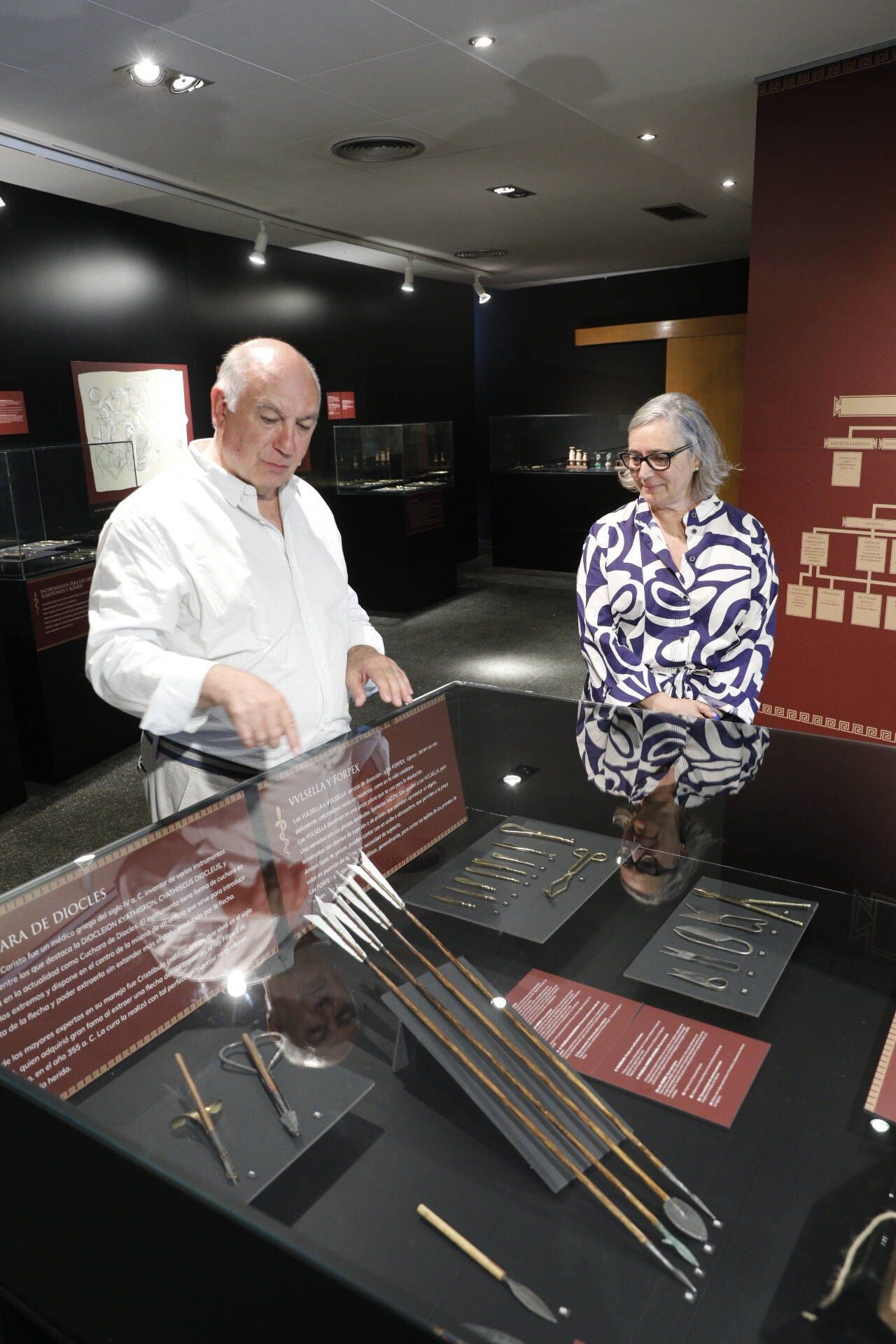 Exposición sobre la medicina en el ejércicto romano en el Museo de la ...
