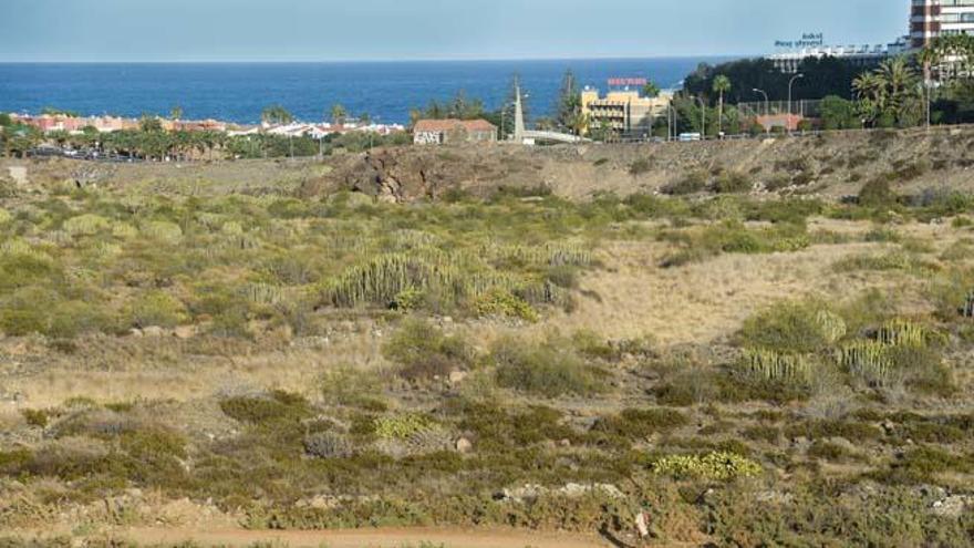 Kiessling proyecta inaugurar el parque acuático de El Veril en 2018