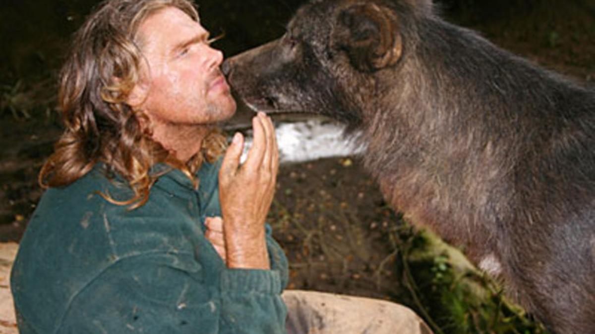 Un aventurero explica cómo convivió 18 meses con una manada de lobos ...