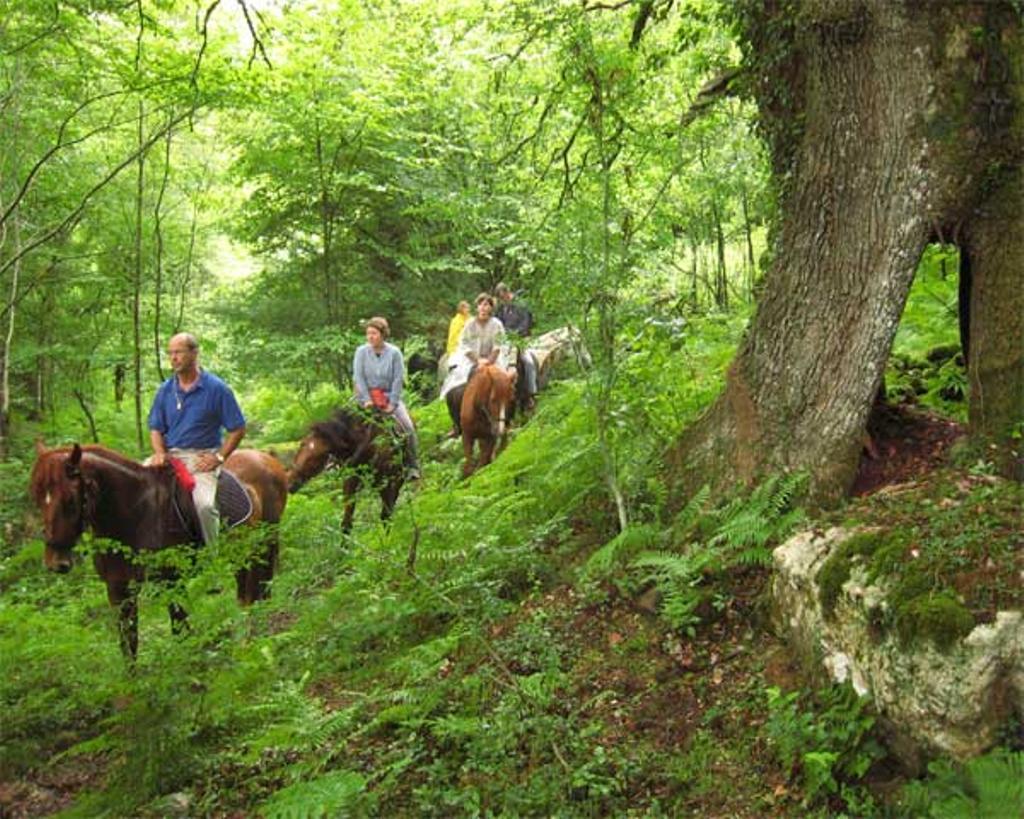 Navarra en otoño te recibe gratis - Viajar