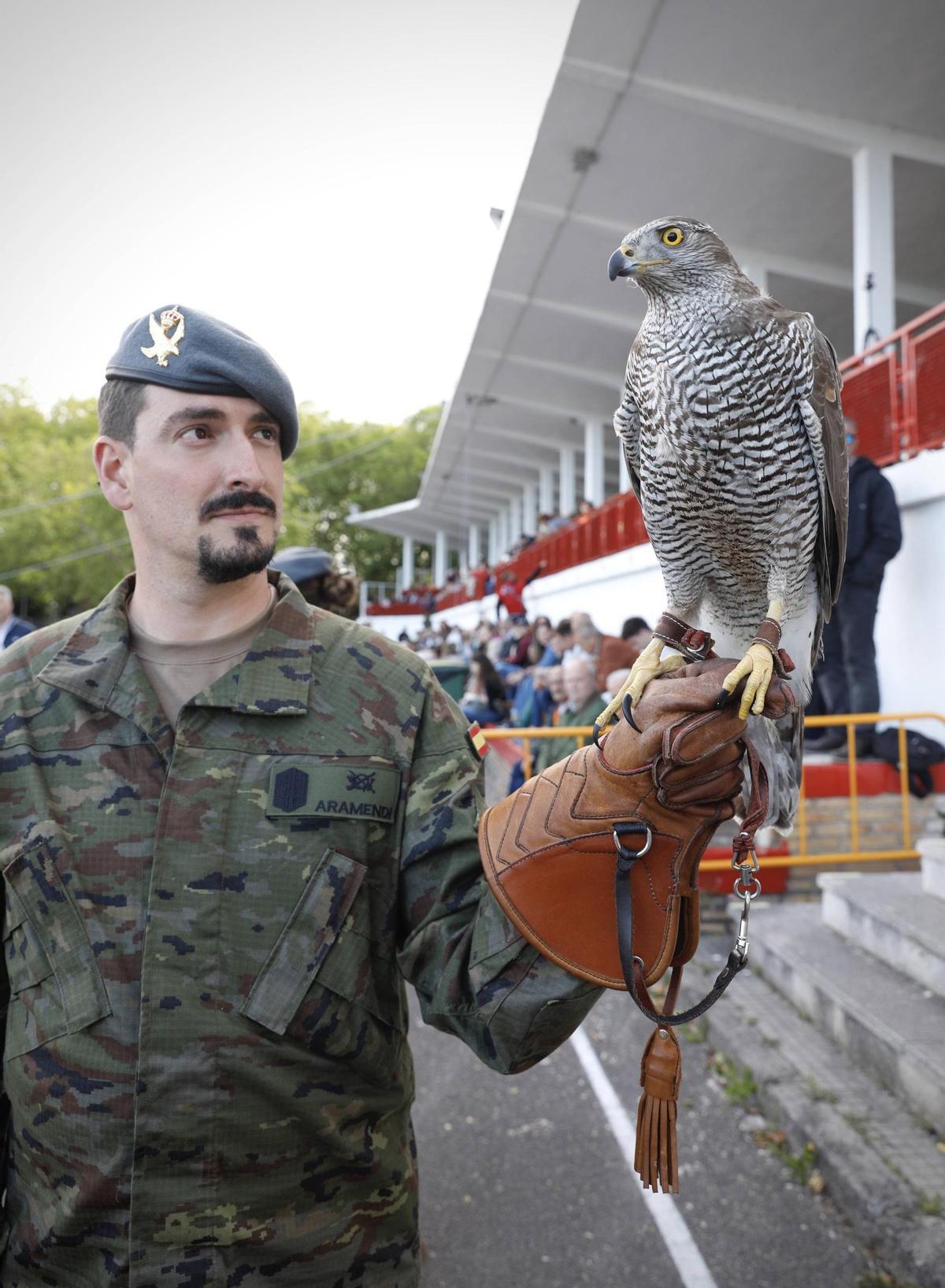 EN IMÁGENES: Así fue la exhibición militar en Las Mestas (Gijón) con ...