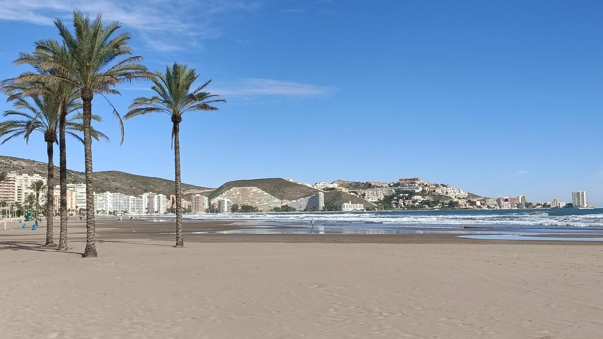 Una investigación sobre la playa da inicio a las Jornadas de Estudios ...