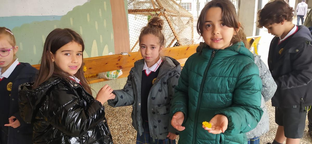 Aí vén o Maio cargado de flores