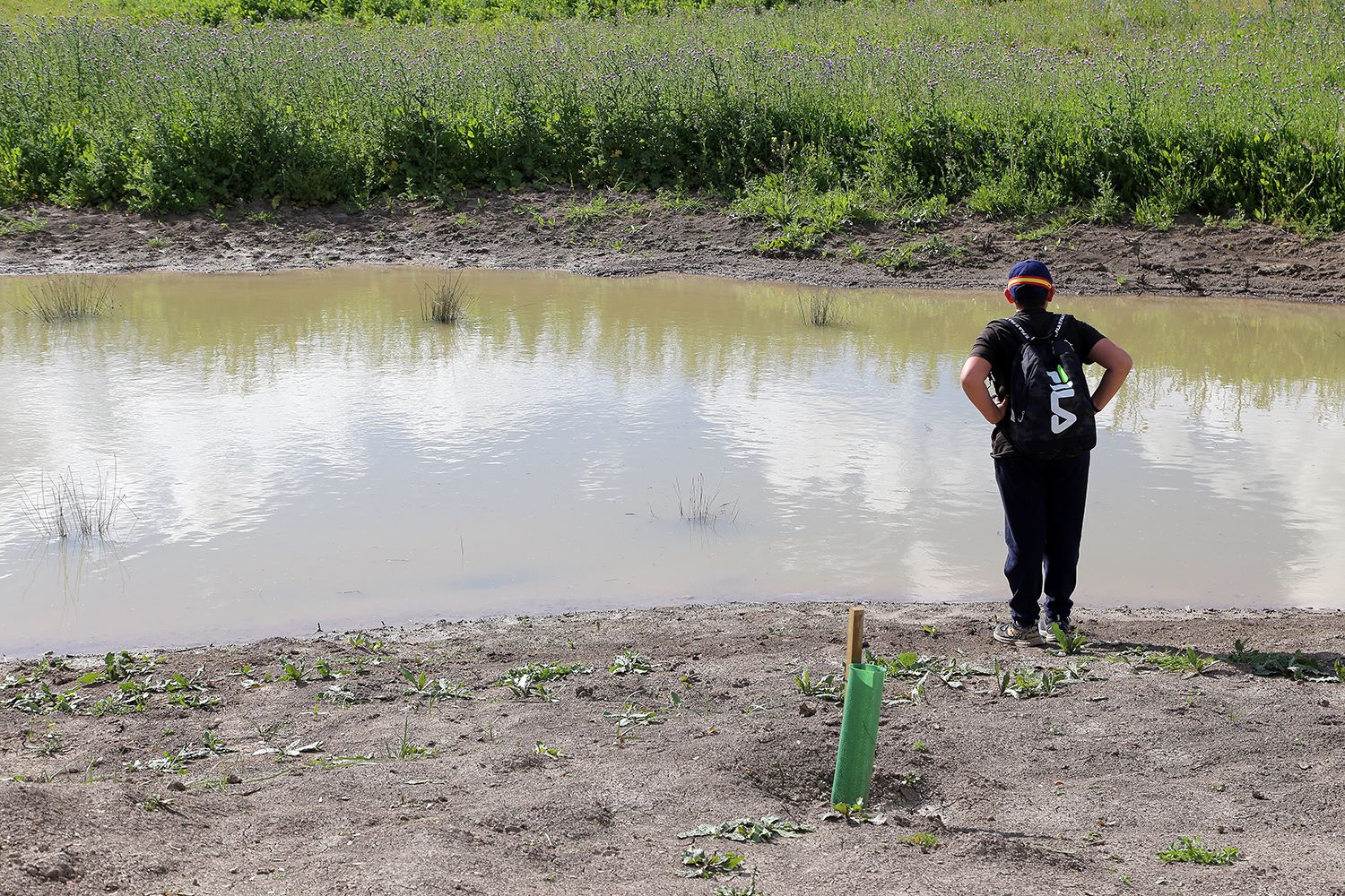 La Laguna de Jarata, en imágenes - Diario Córdoba