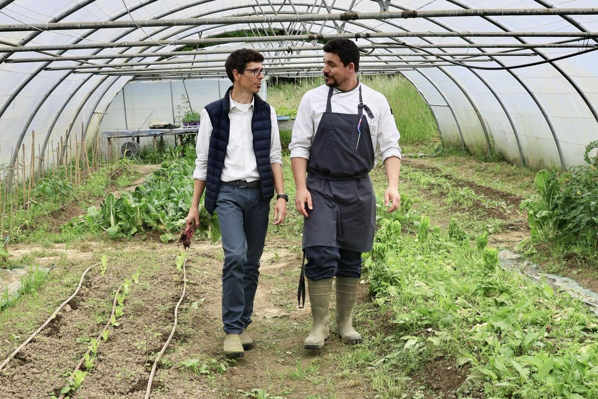 La gastronomía regenerativa, una tendencia más allá de la ...