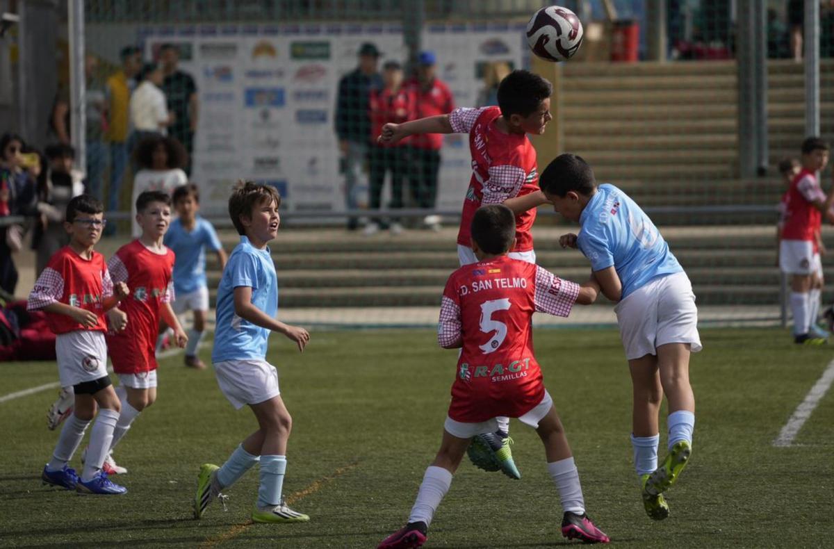 Don Bosco (Benjamín) y Amor de Dios (Alevín), campeones en la primera ...