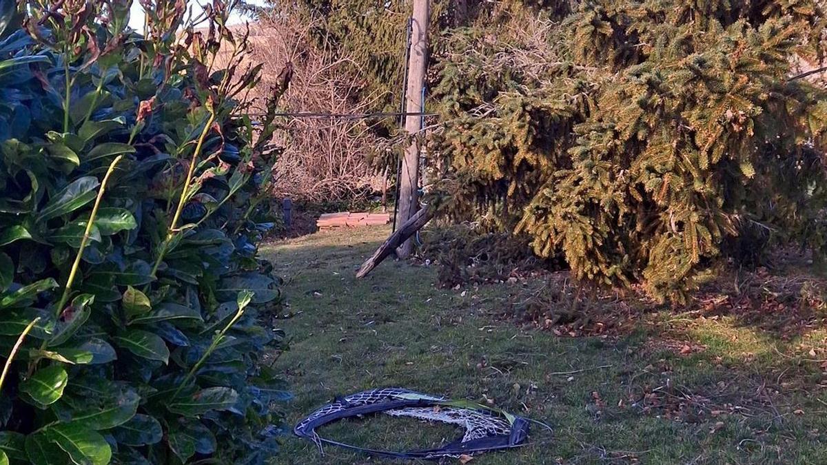 La caiguda d'un arbre sobre una línia aèria deixa Molló sense ...