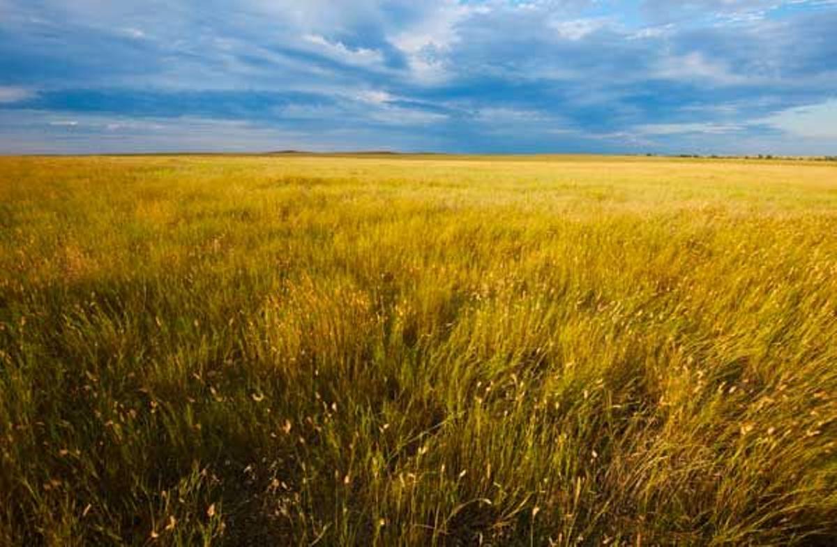 Planicies del mundo - Viajar