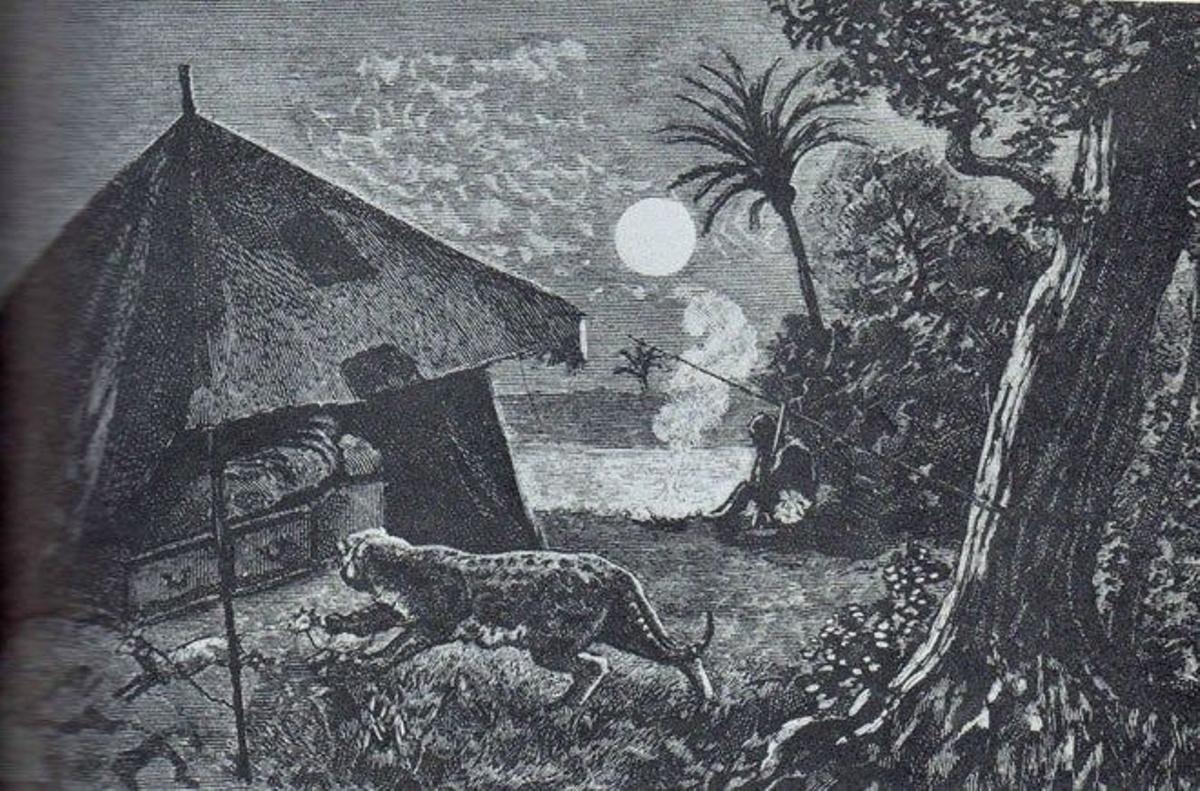 El África de Manuel Iradier - Viajar