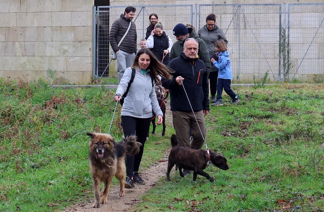 PASEO DE PERROS PERRERA VIGO: Un paseo de esperanza para los perros de ...