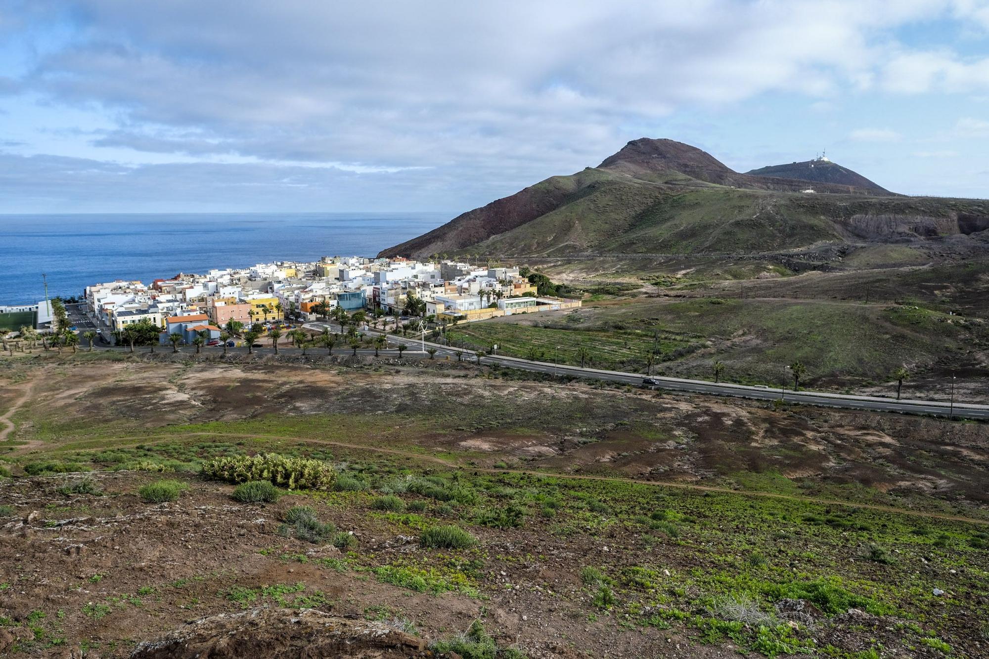 Zonas verdes del paraje natural de La Isleta