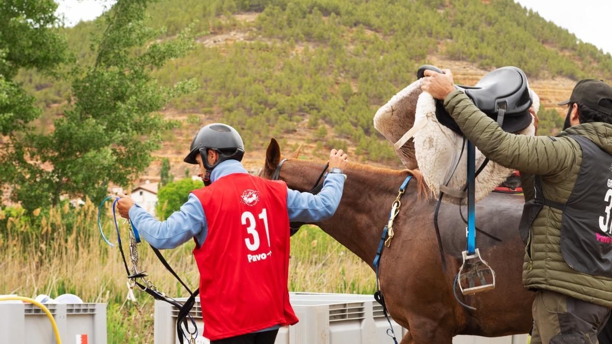Carreras de caballos en Valencia: Ademuz acogerá el Campeonato Absoluto de Raid Hípico de España