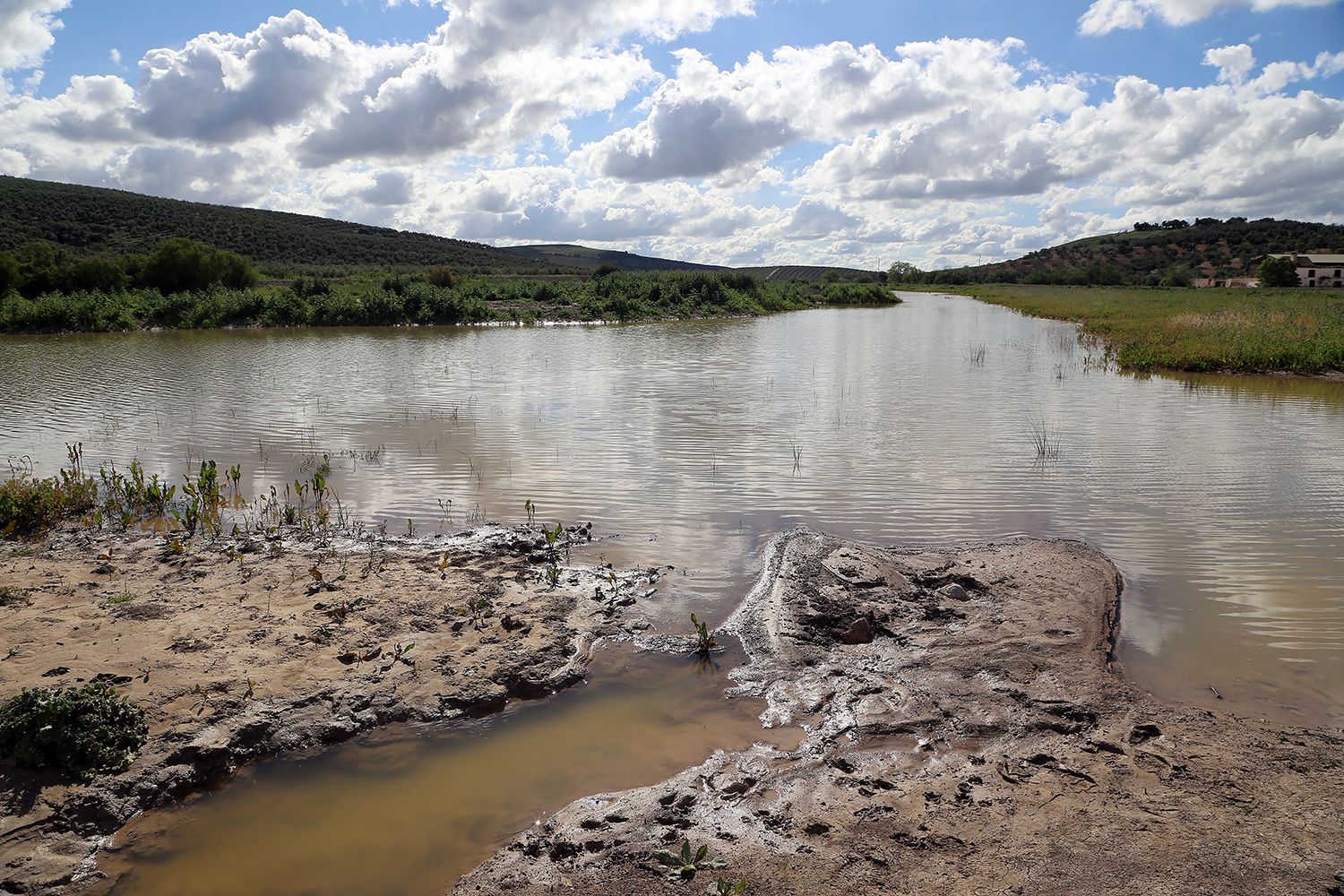 La Laguna de Jarata, en imágenes - Diario Córdoba