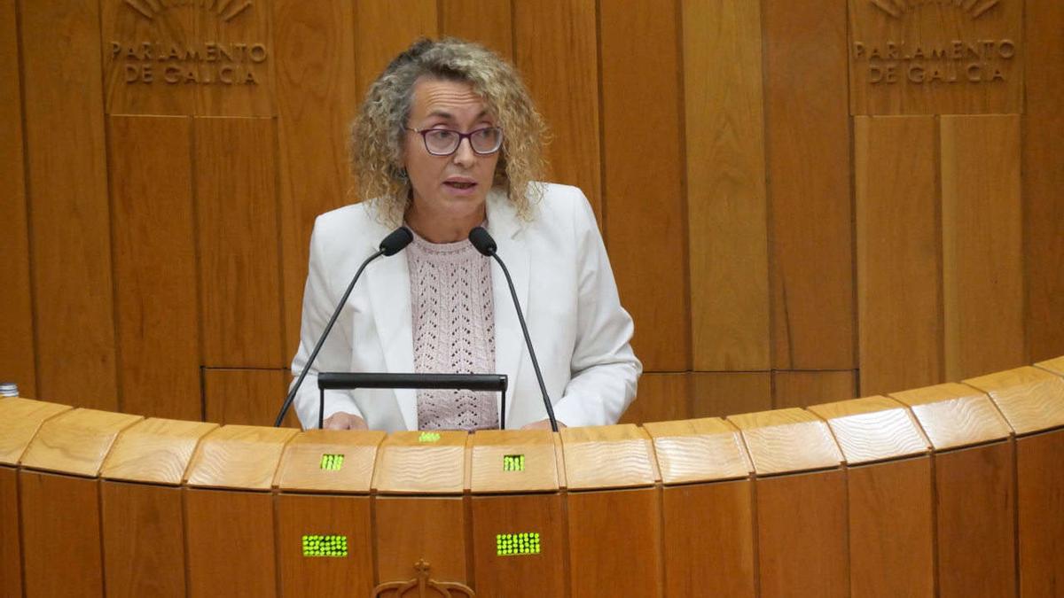 Unanimidad en el Parlamento para urgir el arreglo de la N-120 en el Condado