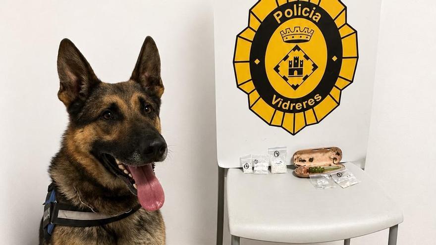 La gossa policia de Vidreres permet detenir un home amb metamfetamina