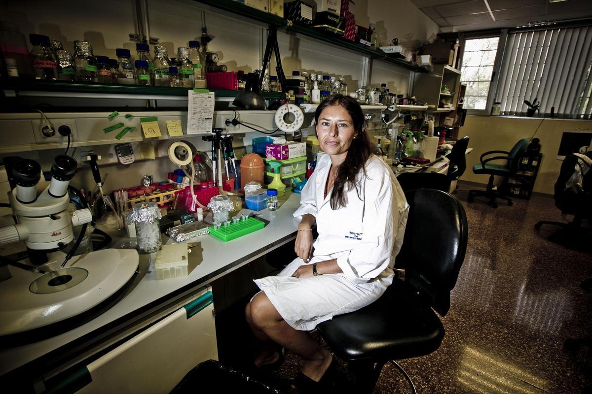 Investigadores del Instituto de Neurociencias participan en la ...