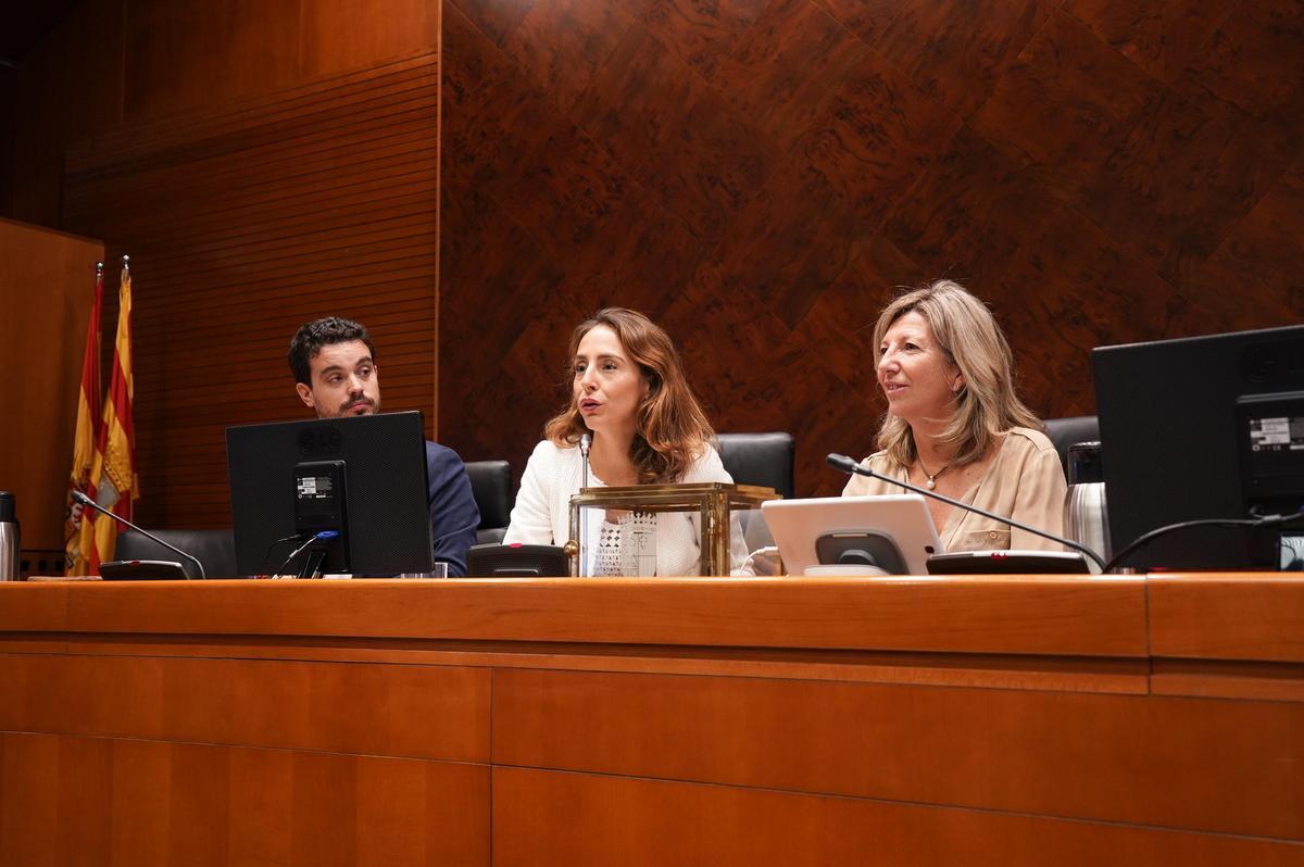 María Navarro y Elena Allué presiden sendas comisiones parlamentarias
