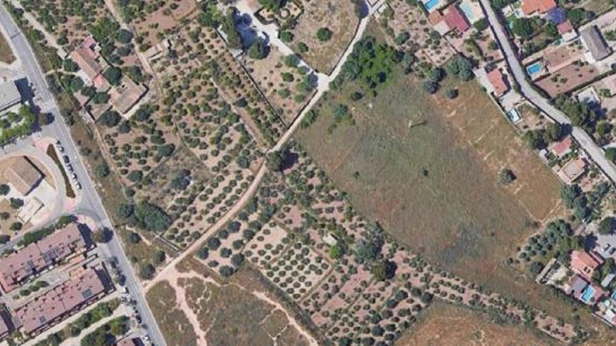 La balsa de riego fantasma y la vía pecuaria indestructible, en las ...